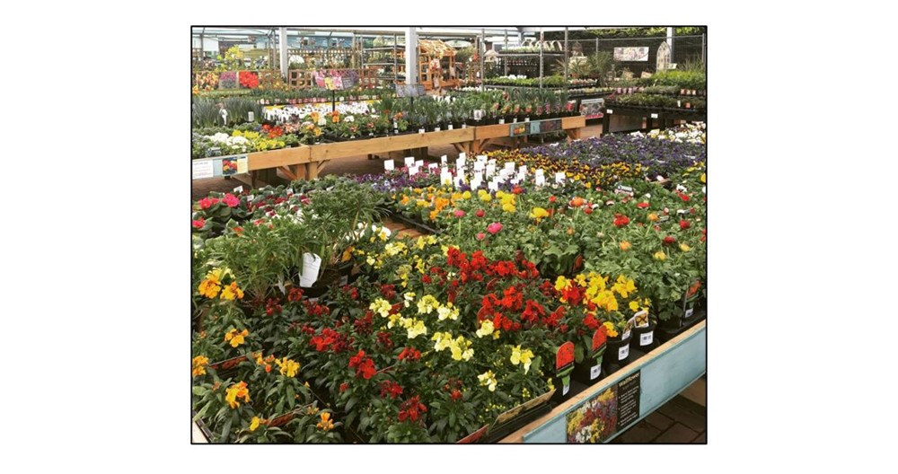 Oakington Garden Centre and The Olive Tree Café - Visit South Cambs